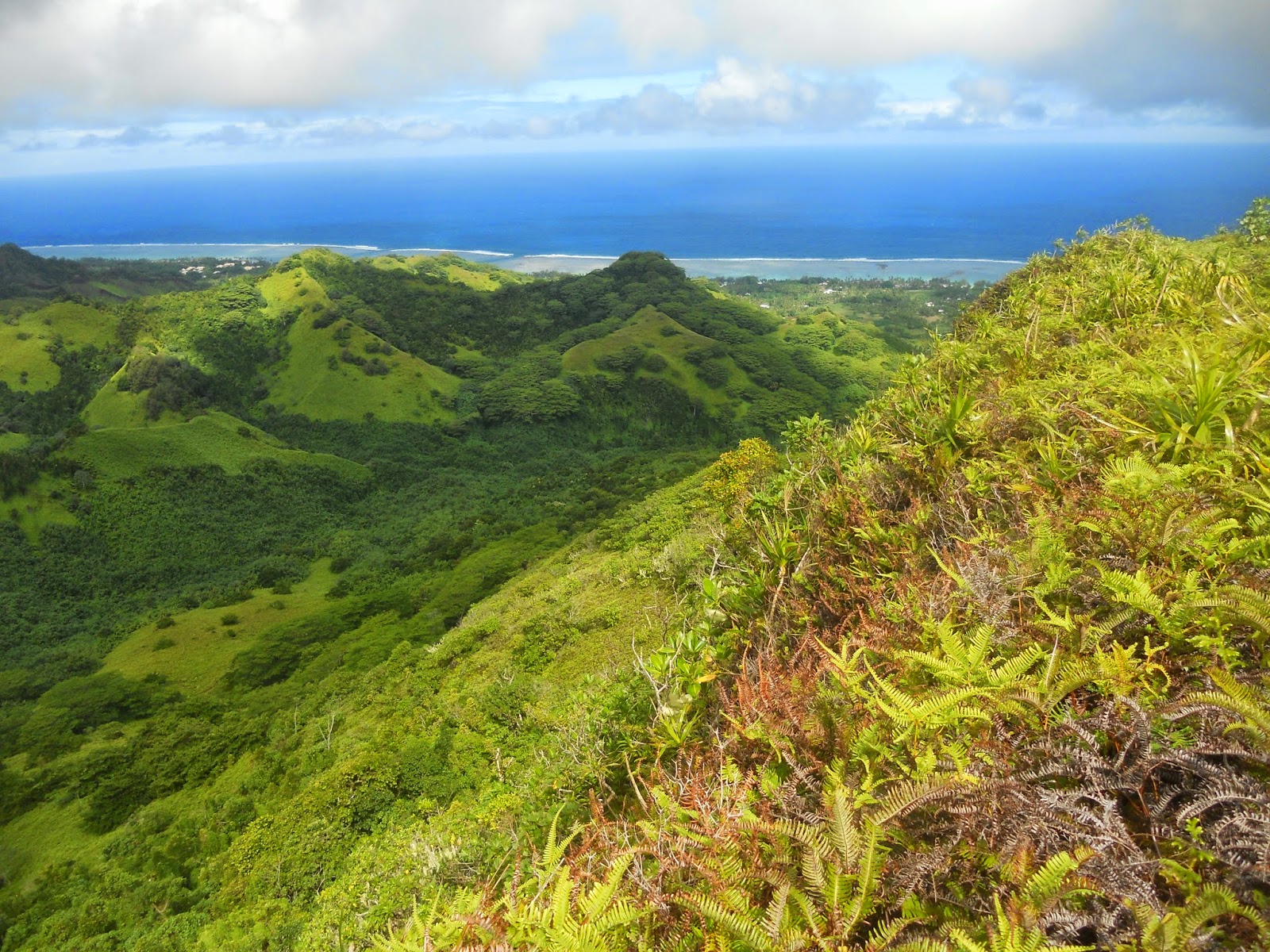 Another Day in New Zealand: Rarotonga Hike - Raemaru Heights Lookout
