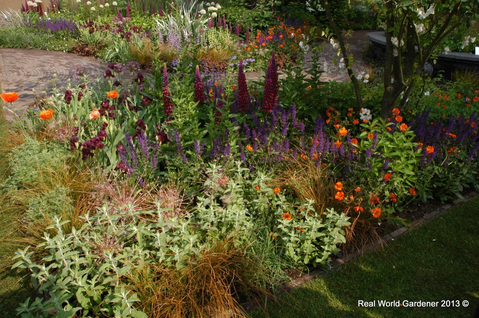 Real World Gardener: Red Hot Garden Design