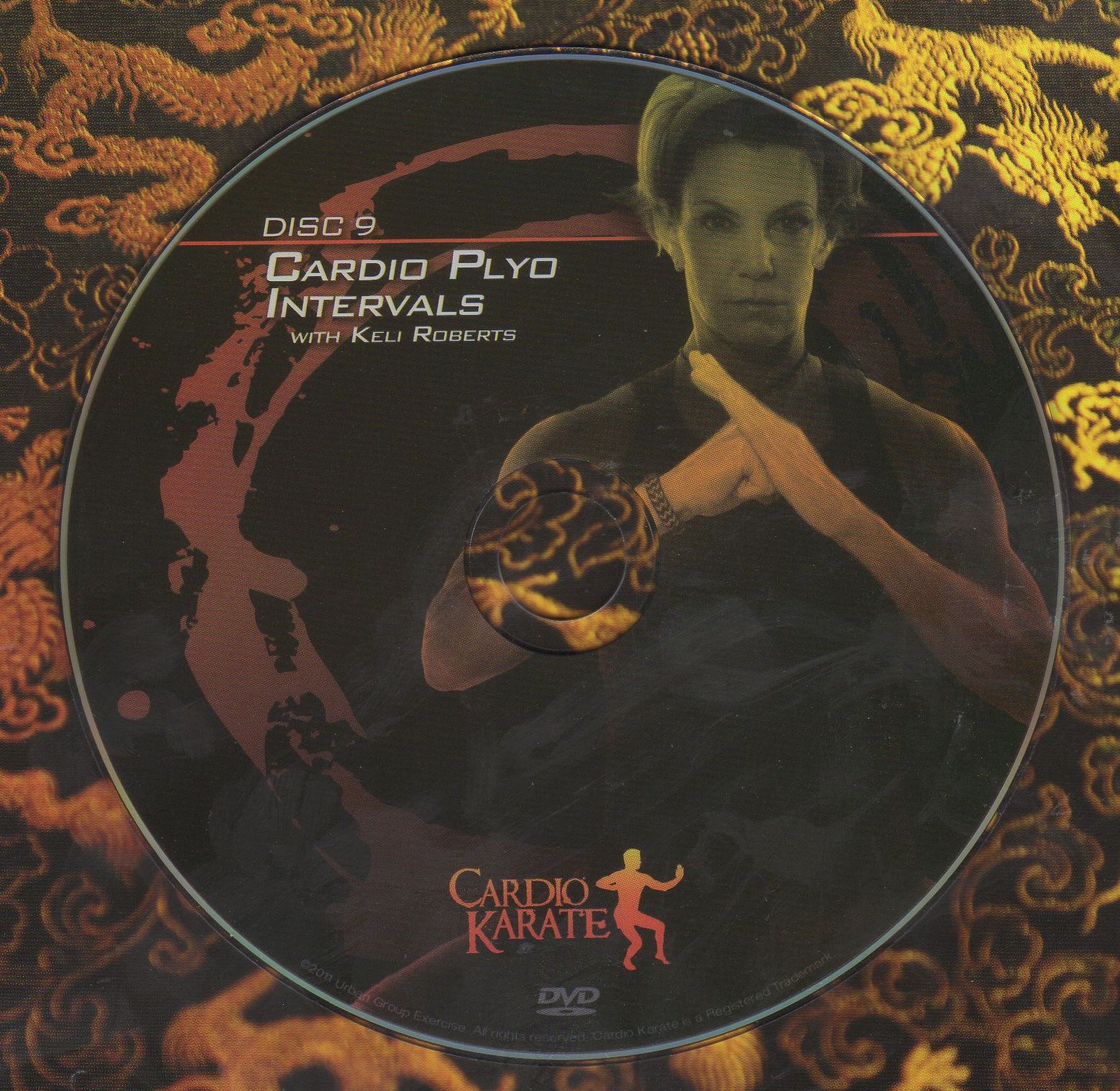 Saundra: Cardio Karate Cardio Plyo Intervals - Thoughts