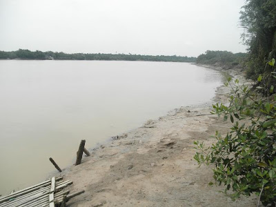 BERPETUALANG KE ACEH: Langat river from a point before it splits downriver