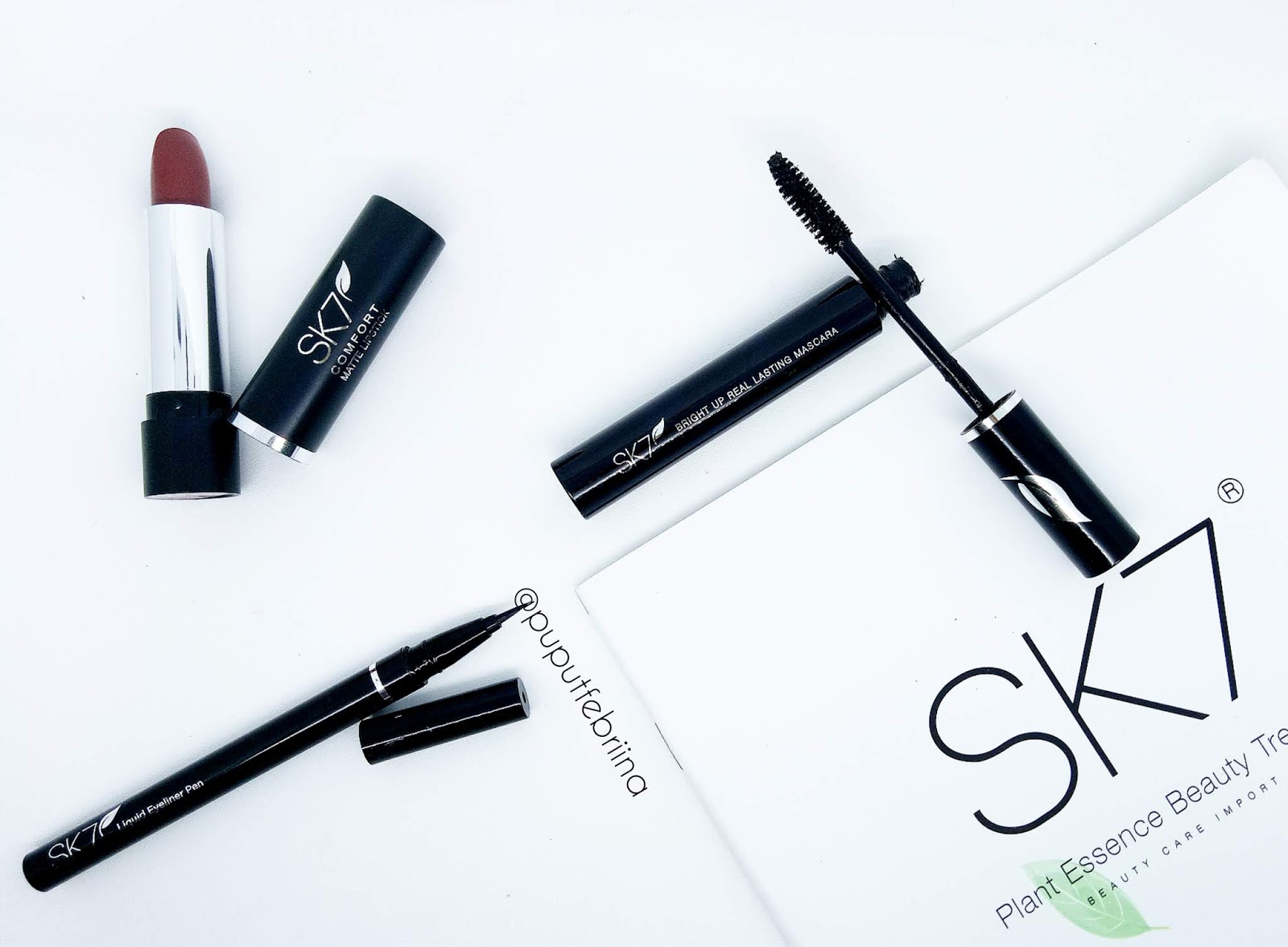 REVIEW : SK 7 Makeup | One Color Makeup with SK 7