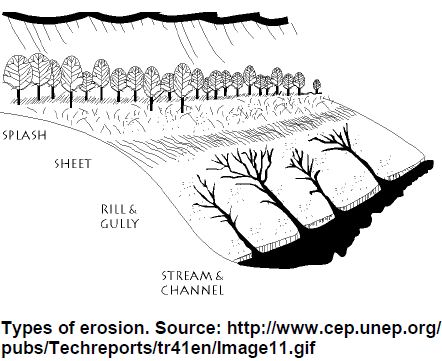 Rill Erosion Definition