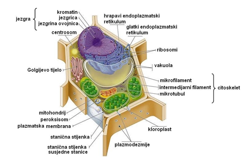 INSTRUKCIJE IZ KEMIJE, BIOKEMIJE, MATEMATIKE, FIZIKE, BIOLOGIJE ...