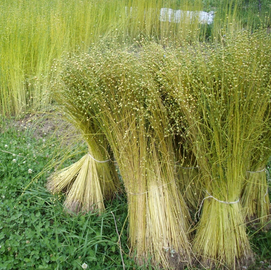 OSCA IRONING: July 2014