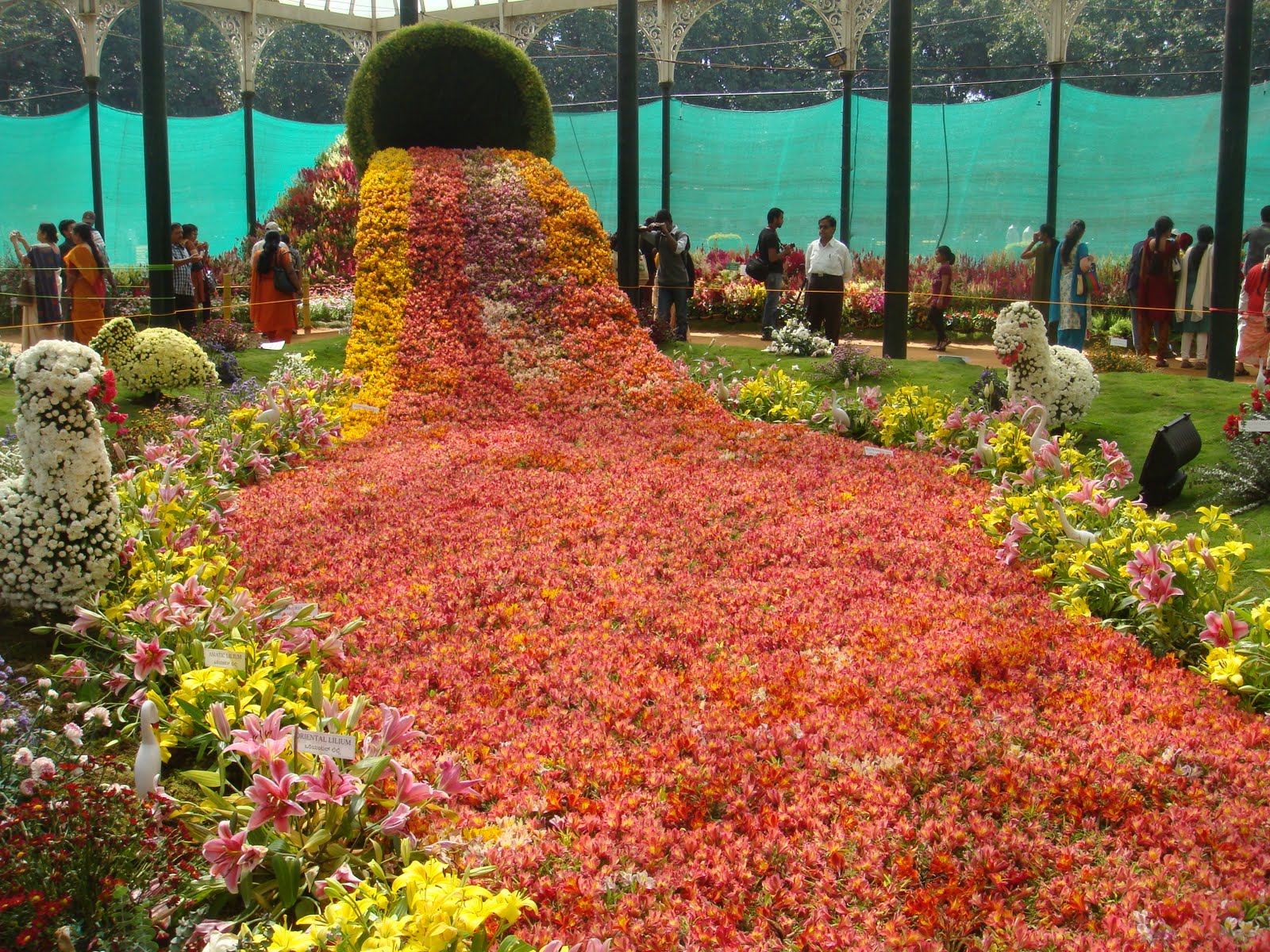 A Protest of Romance: Lalbagh Flower Show - 24 Jan 12