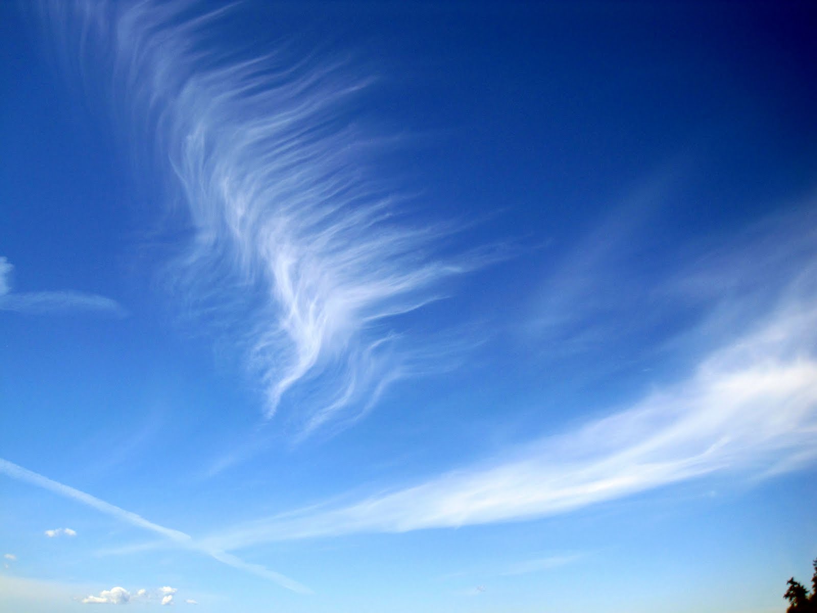 Pieceful Afternoon: A Trip to Samish Island