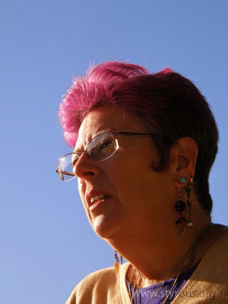 The Styrous® Viewfinder: Barbara Cushman ~ Gone Postal