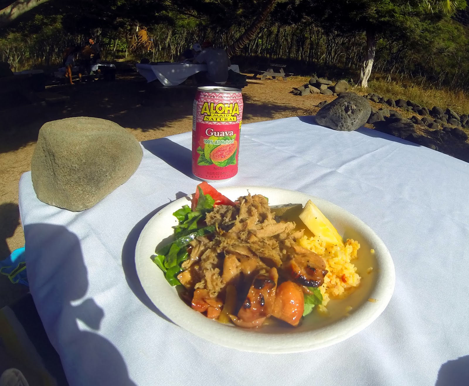 Life in the Lowcountry: Captain Andy's Kauai Raft Tour