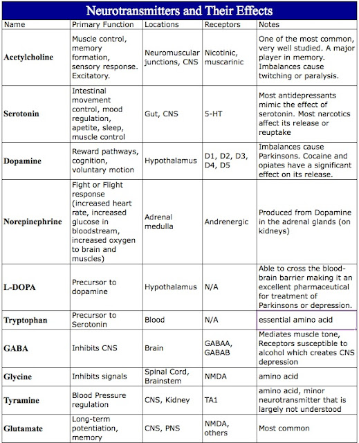 Dr. Sonja's Blog: Is It All In Your Head?