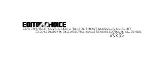 World Editing Zone: New Editor Text Png pack