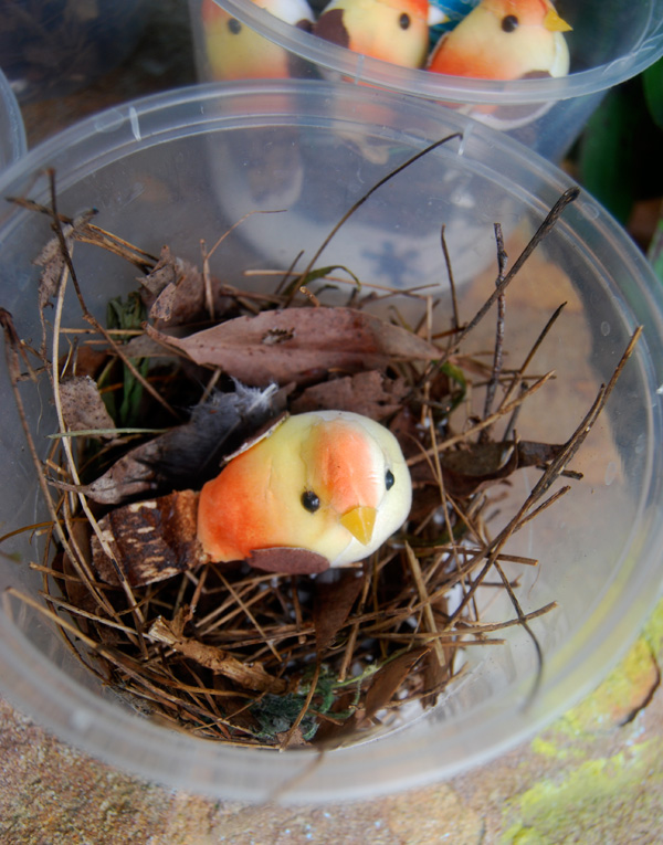 At home with Ali: Cute little bird nests
