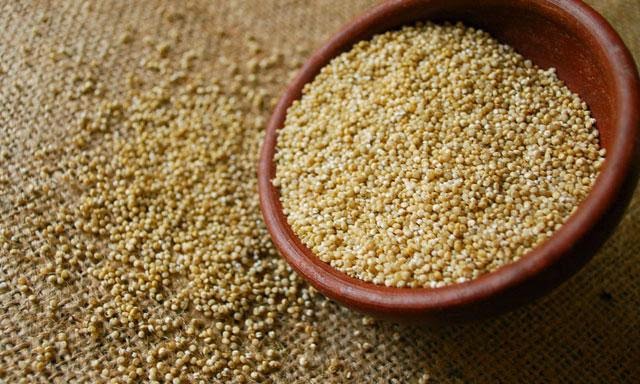 CEREALES ANDINOS PERUANOS