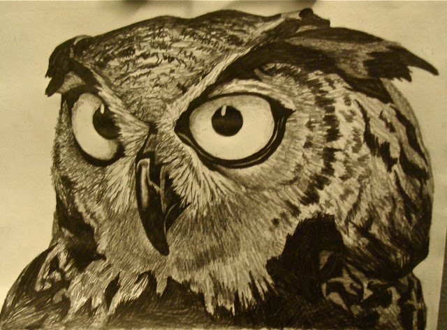 James D. Autio: Owl drawing - pencil on paper