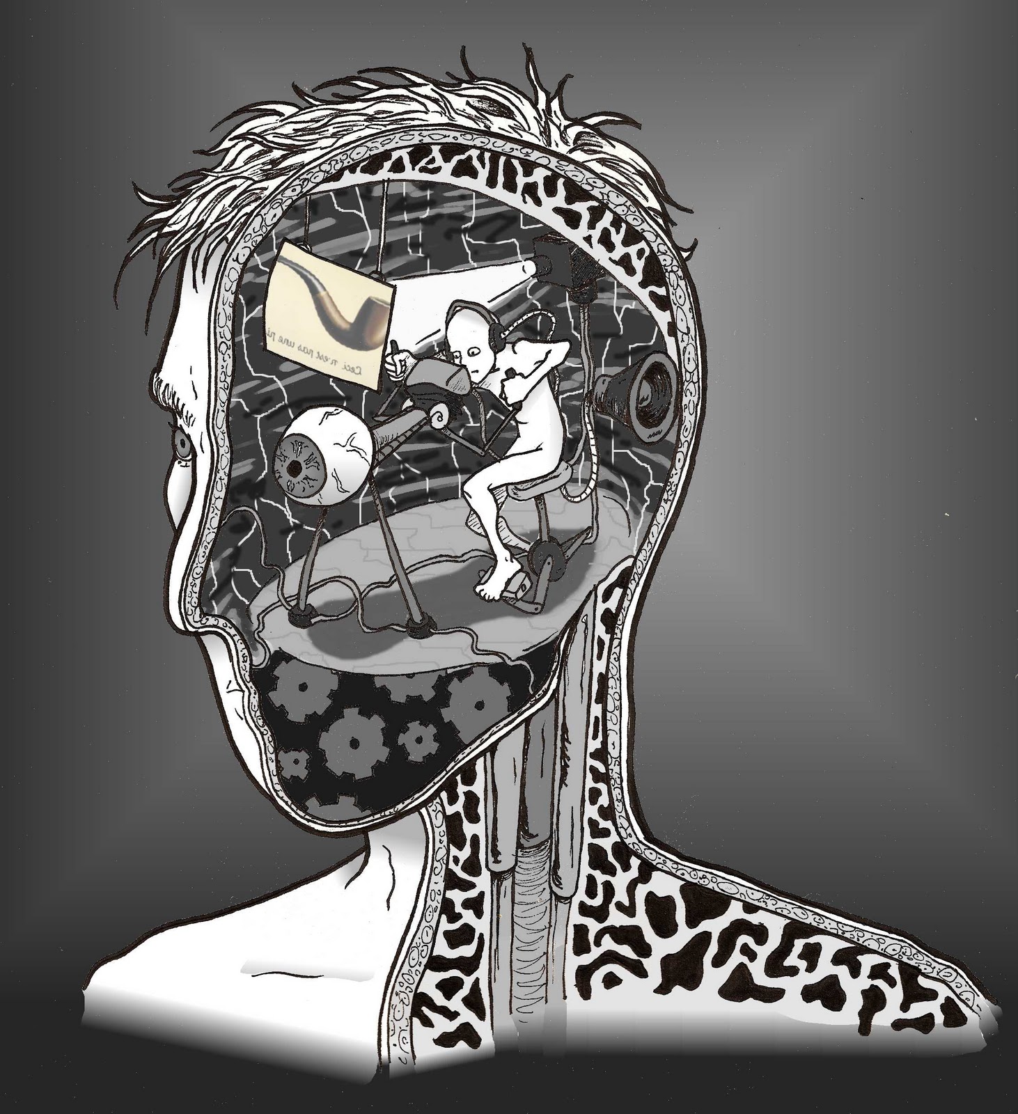 Dominant and sign systems