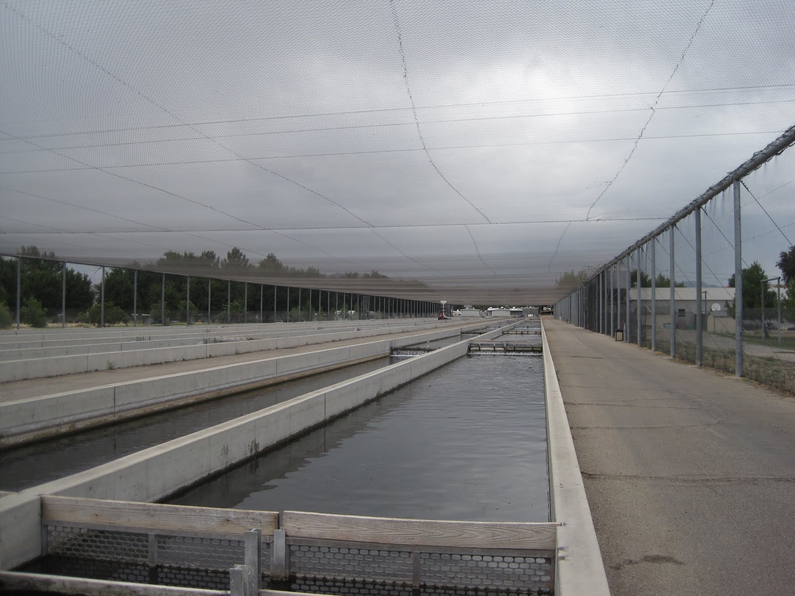 Mojave River Fish Hatchery - Victorville, CA