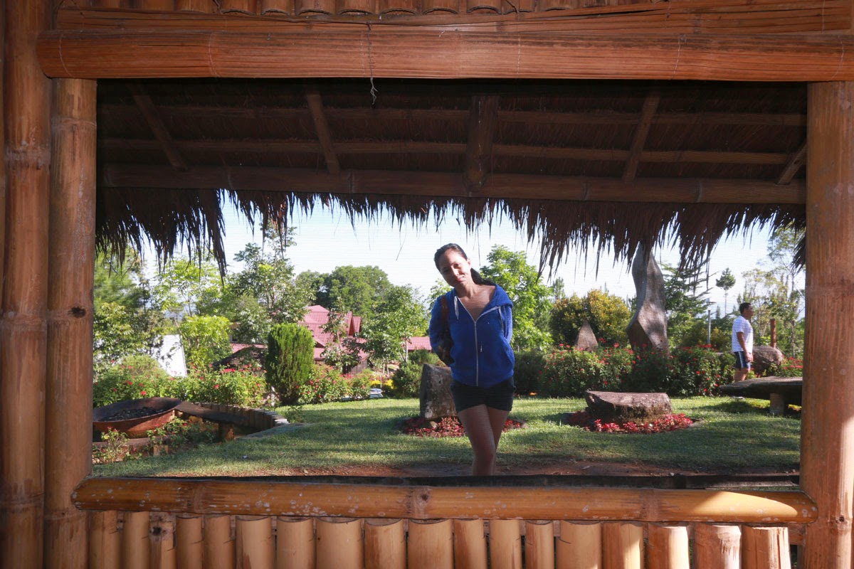 TravelWithShark: The Saddle Ridge ~ Dahilayan, Bukidnon