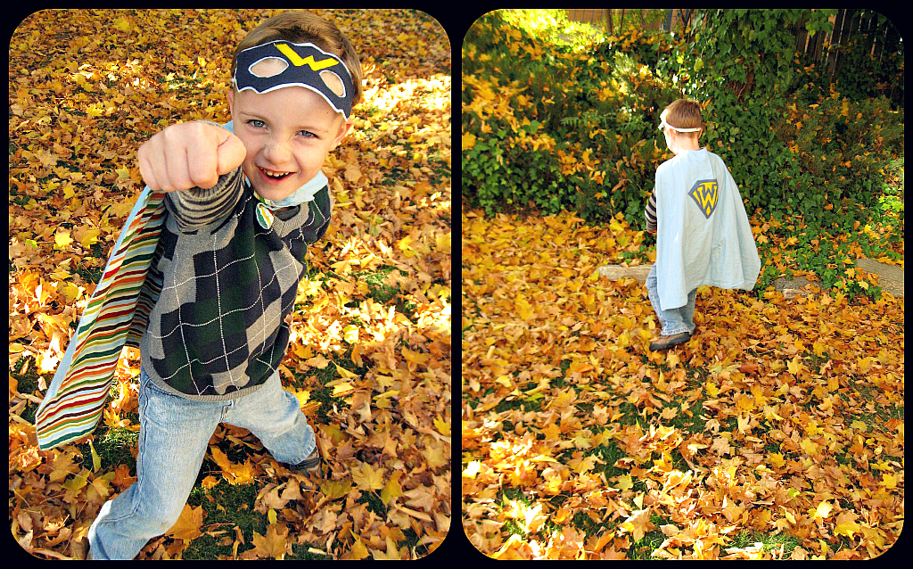 Batman-Superhero Cape