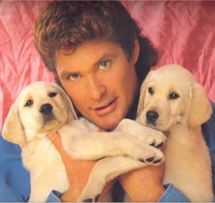 FOTOS VIDEOS ACTORES MODELOS ETC: FOTOS DE DAVID HASSELHOFF