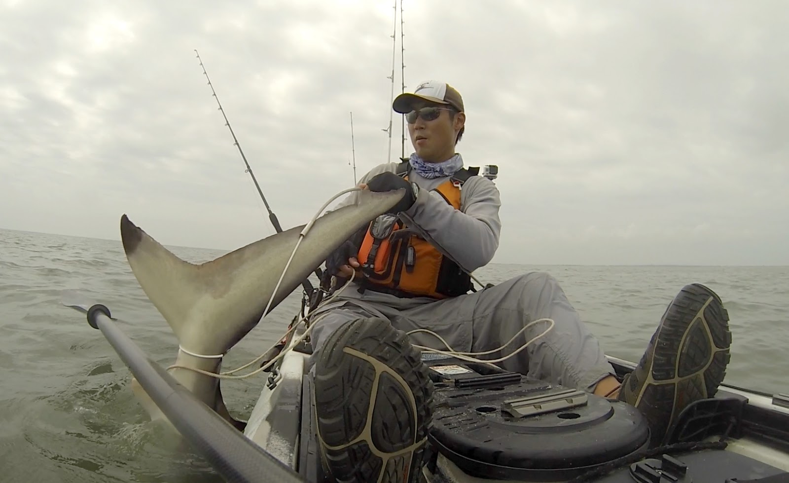 Angling Addict: 17 Boat Beating Champs and a Trophy Shark