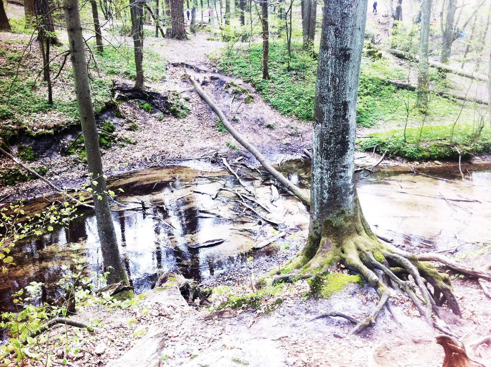 TOP 3 miejsca w Złotym Potoku, które koniecznie trzeba zobaczyć | The ...