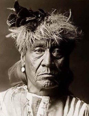 The Watercolour Log: Red Whip