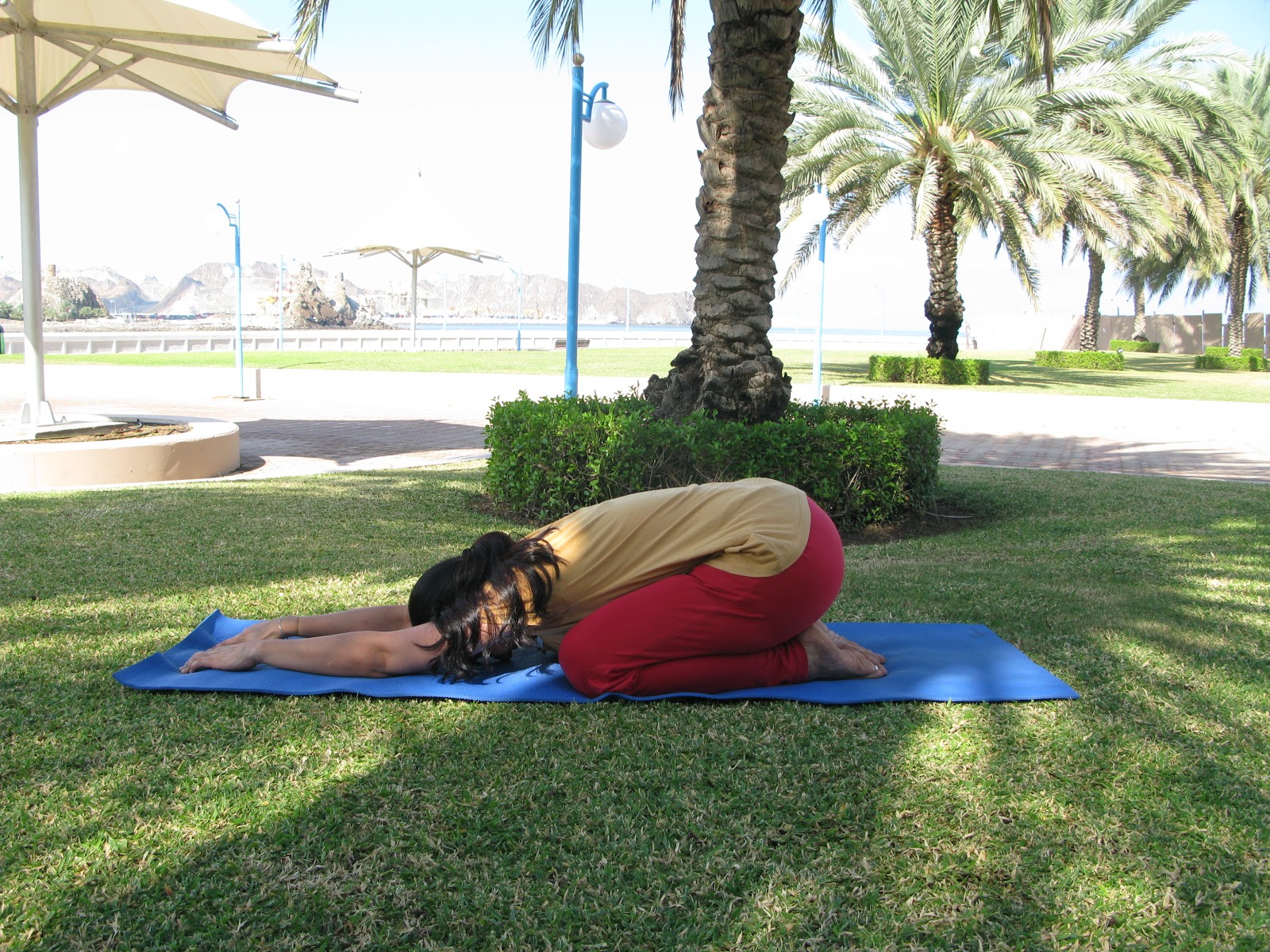 Prema Nagesh's Vyaniti yoga: YOGA AND HYPERTENSION