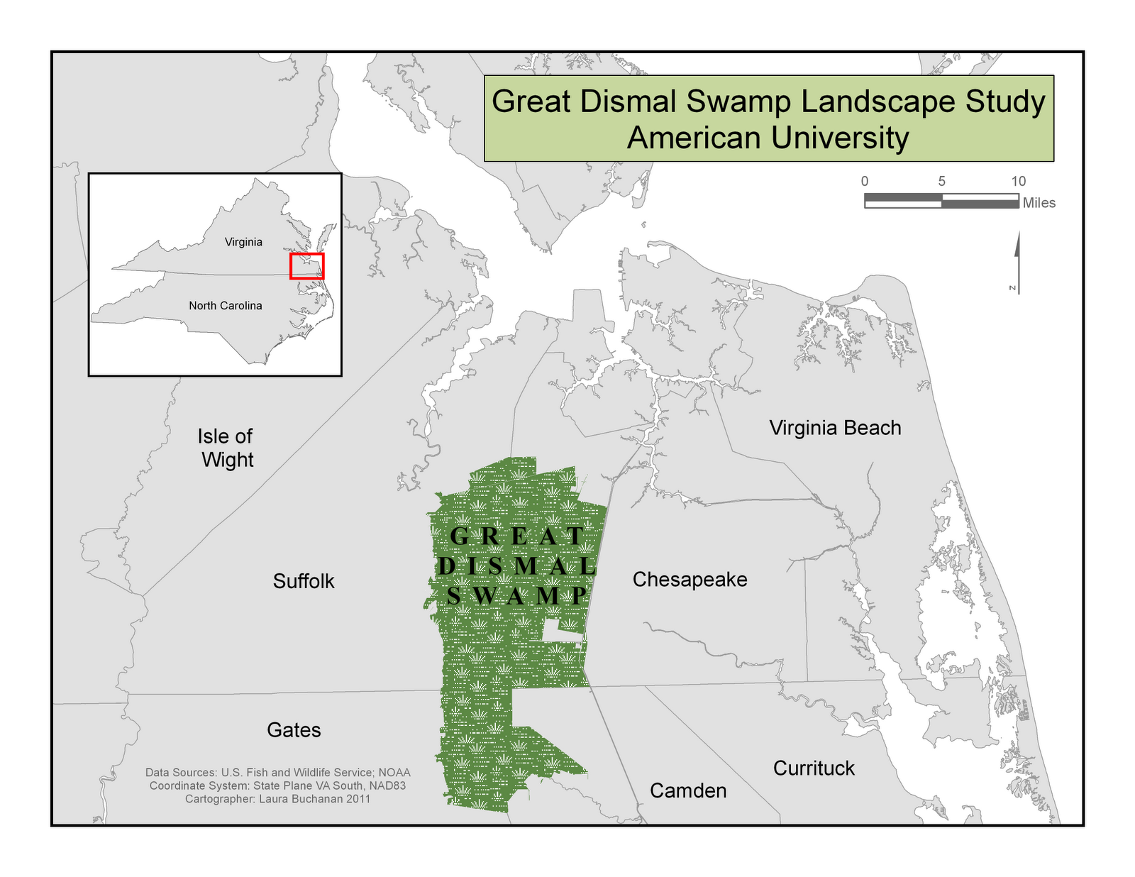 a brief interlude of sensational experience: A Tale of the Great Dismal ...