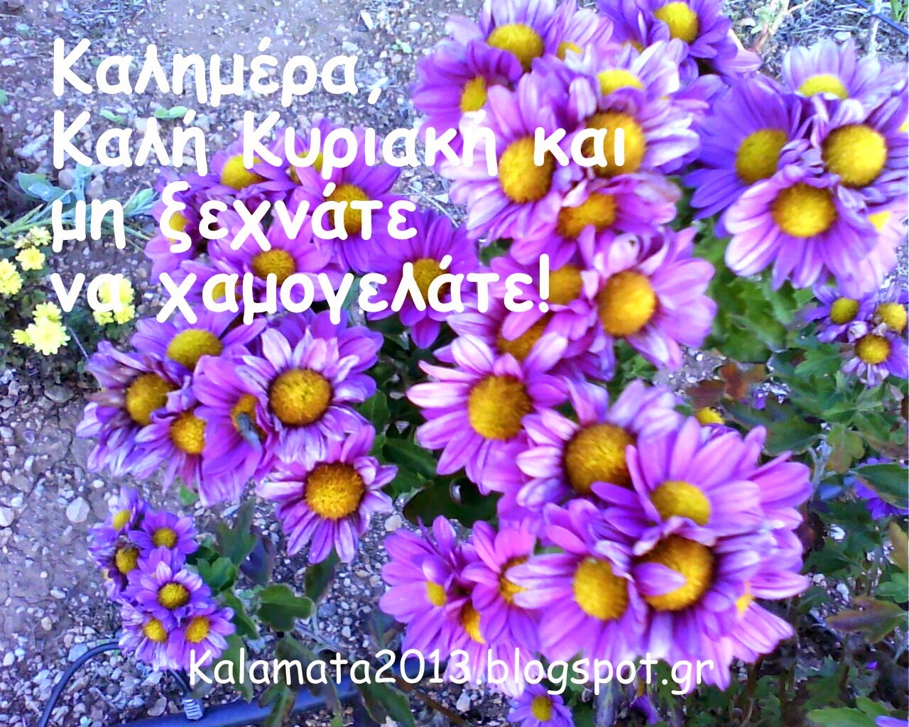 ΚΑΛΑΜΑΤΑ 2013: « Καλημέρα σας ! Να έχετε μια όμορφη Κυριακή