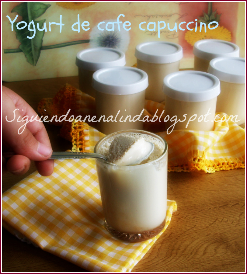 Siguiendo a Nenalinda: Yogurt de café Capuccino .....