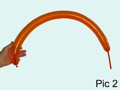 CLASSICAL: Balloon fish