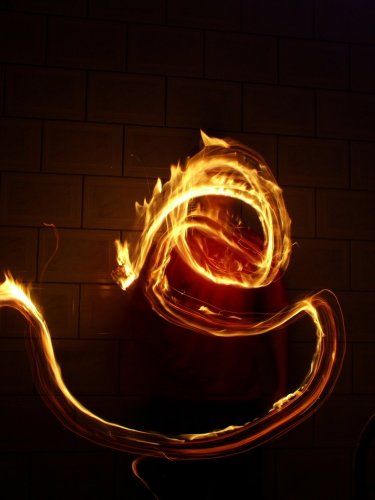 Bruxa Arana: SALAMANDRAS - ELEMENTAL DO FOGO