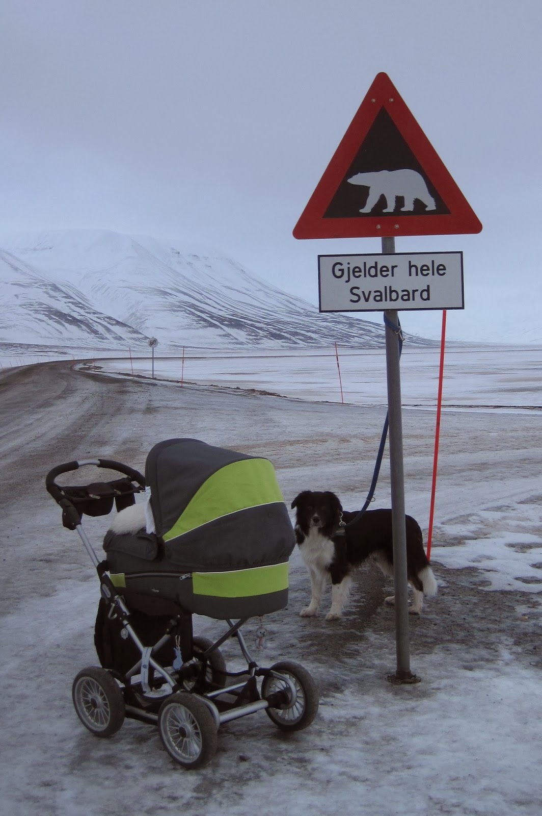Nattsnakk fra Longyearbyen
