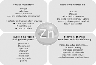 Zinc deficiency during pregnancy...1