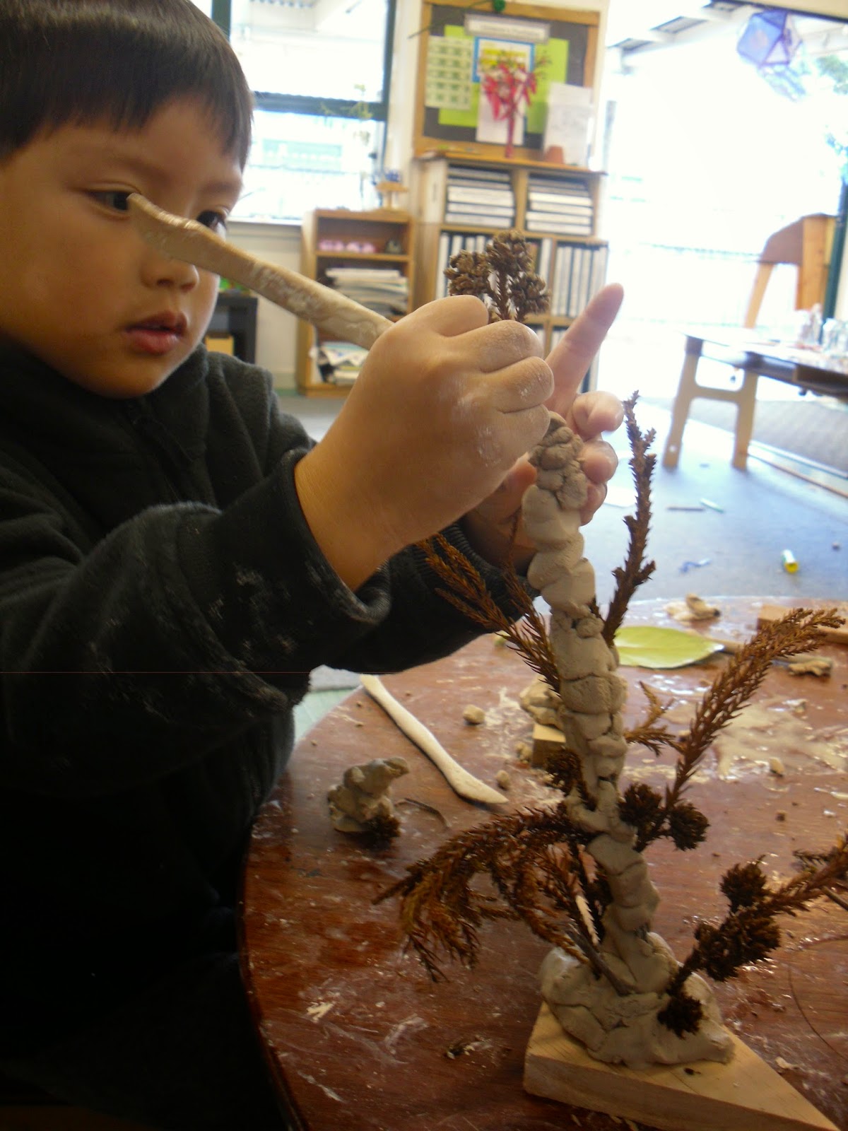 Mairtown Kindergarten: A hidden world – life under trees