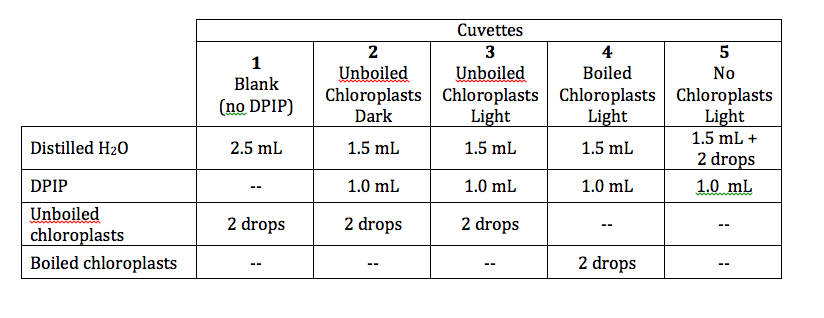 Honors Biology @ Lawrenceville: DPIP (Photosynthesis Prelab)