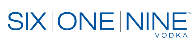 619 six.one.nine auto.concepts: LOGO IDEAS