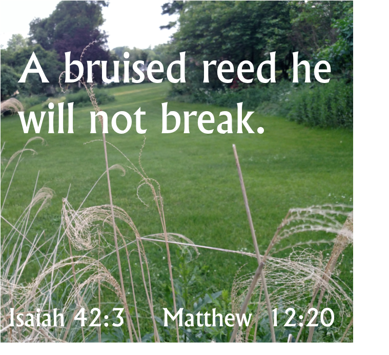 EcoPreacher: Jesus Healing the Bruised Reed of Creation