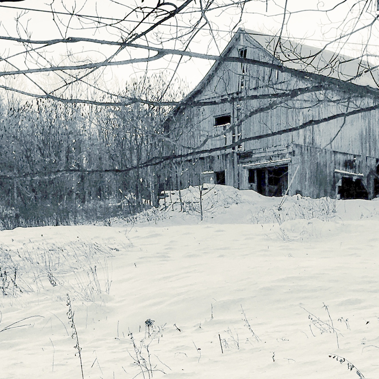 Jane Griswold Radocchia: The geometry of a 1870's barn