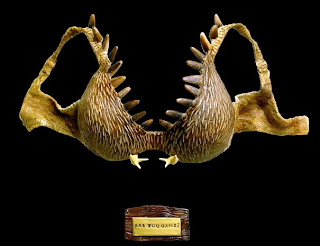 BRA POLICE: Bra crimes part 2