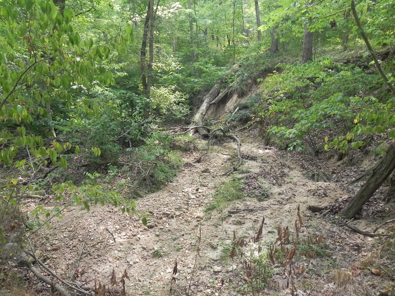 Fox Run Trail, Rockwoods Range