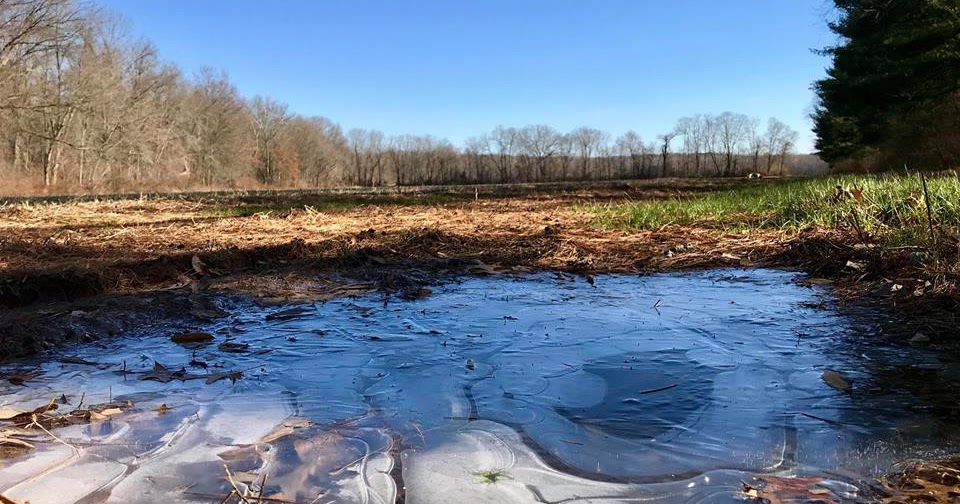 Terrierman's Daily Dose: Getting Colder