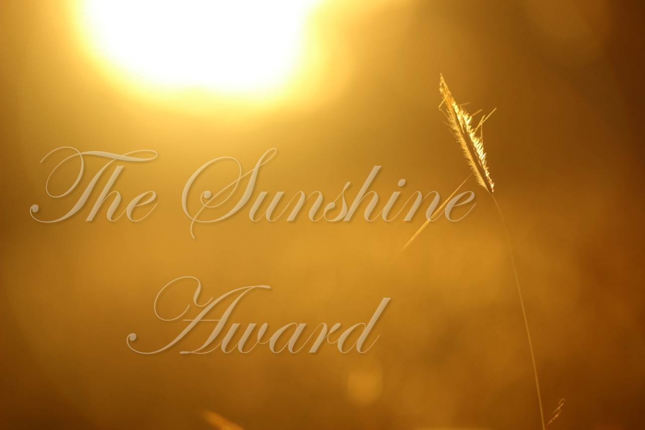 Clare's Spot: The Sunshine Award: with slightly different rules