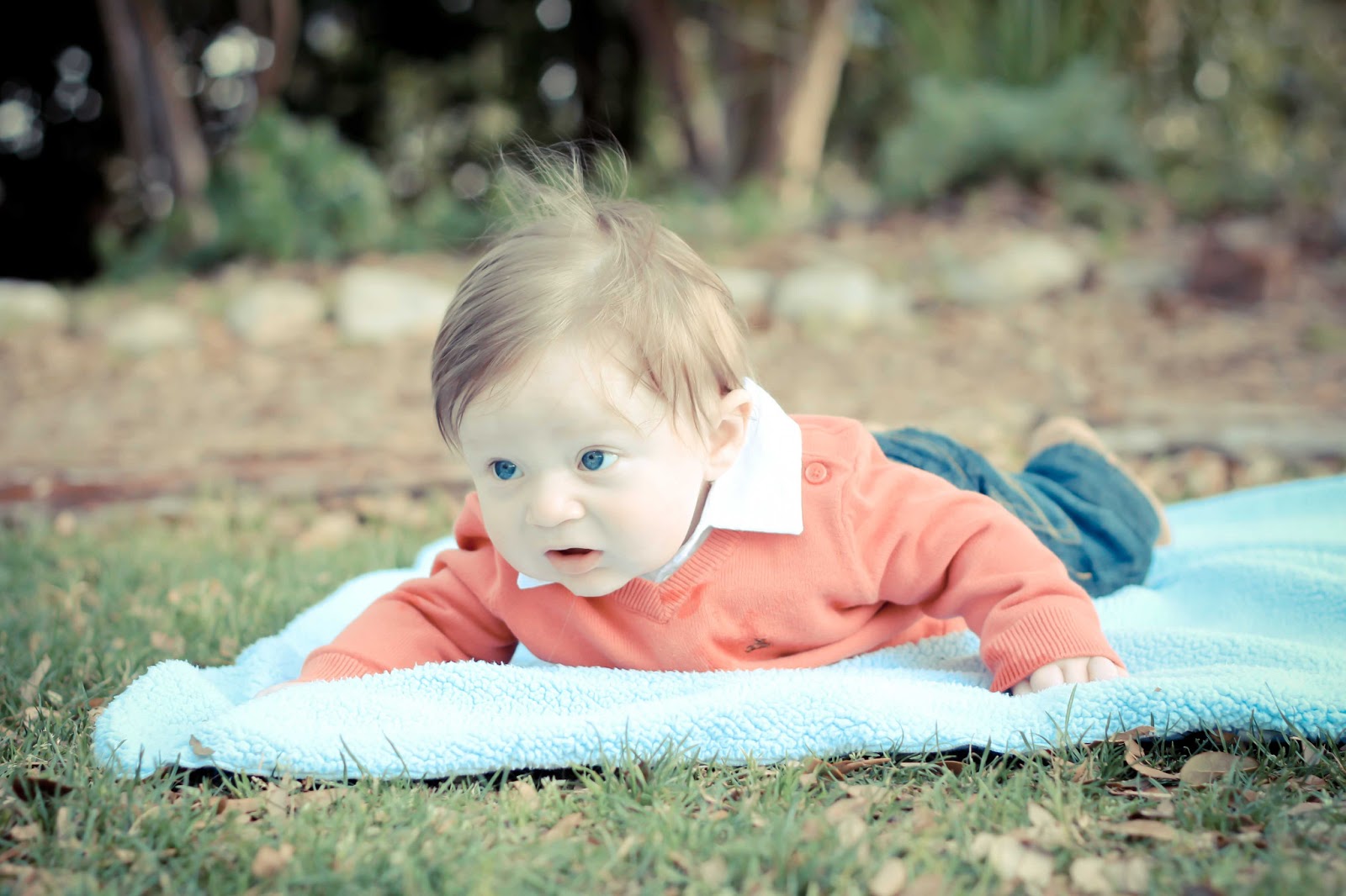 A. Leigh Photography: the crail family {new braunfels, tx family ...