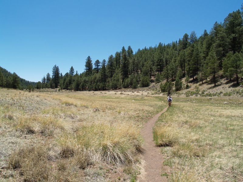 Arizona Hiking: SANDY'S CANYON