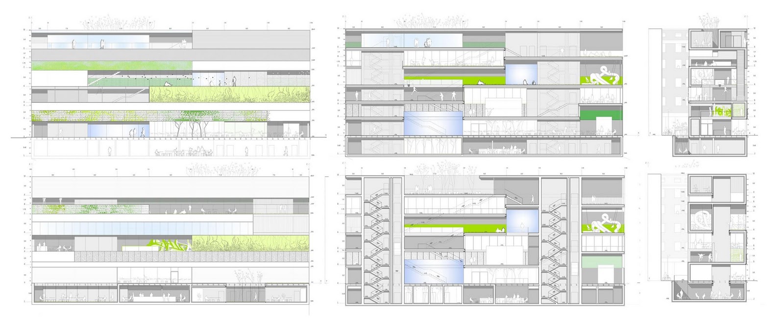 Maciej SIUDA – a f a s i a