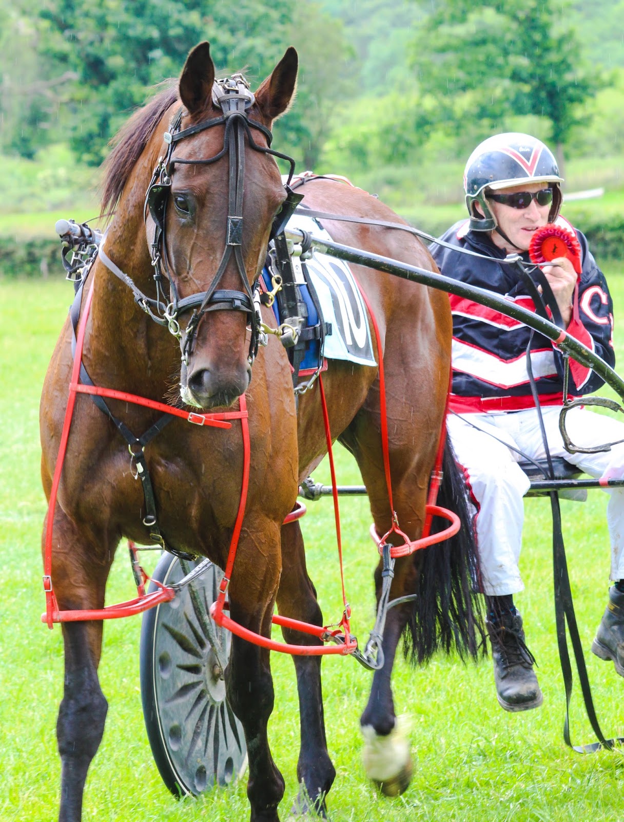 Harness Racing in the UK: 2017 Season: Week 9 - 4-3-3...standard!