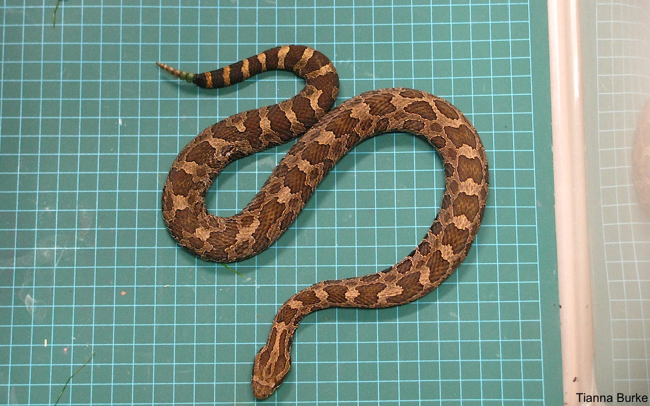 Ramblings of a Wildflower: Long Weekend in Killbear Provincial Park