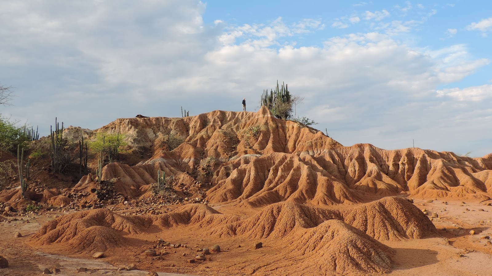 Travel with Kevin and Ruth: A bumpy ride to Colombia's spectacular ...