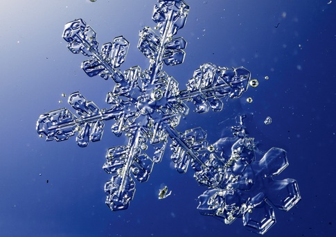 The Agatelady: Adventures and Events: What is a Snowflake?