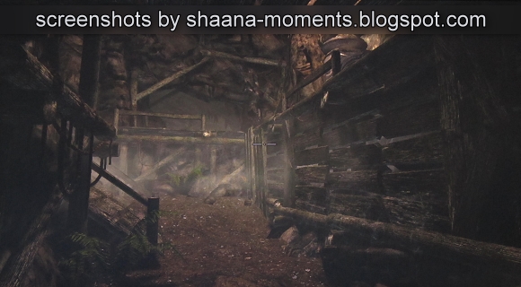 shaana: The Elder Scrolls 5 - Skyrim - Ansilvund